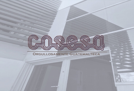 Quiénes somos – Cosesa